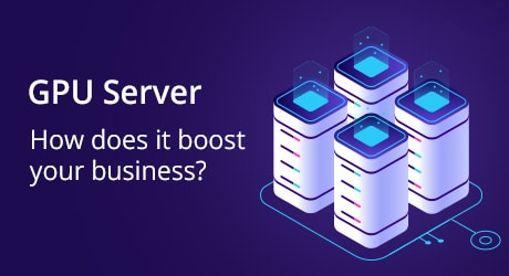 GPU Dedicated Servers for High-Performance Computing: Benefits and Future Trends | SeiMaxim
